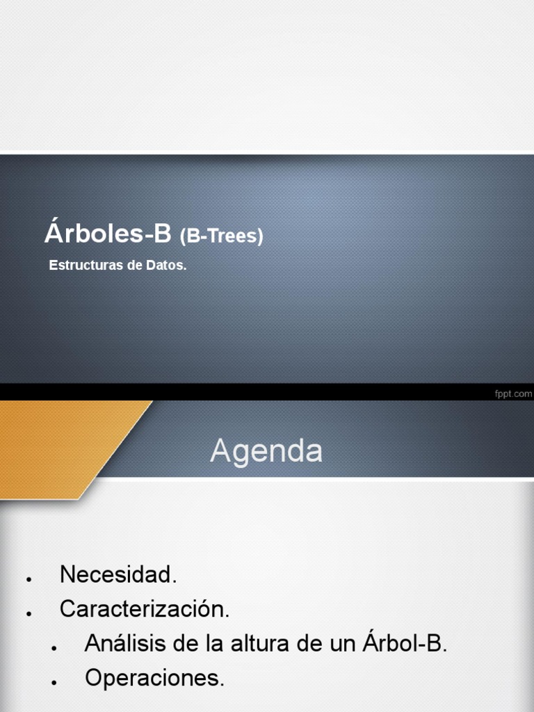Arboles B | PDF | Ingeniería Informática | Recuperación de información