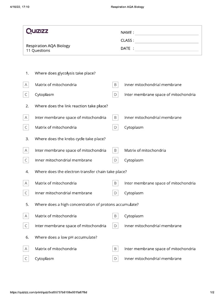 Respiration Quiz Pdf