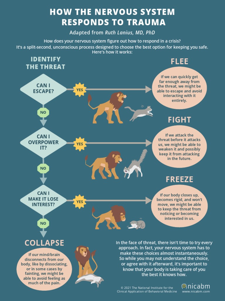 NICABM InfoG How+the+Nervous+System+Responds+to+Trauma Color | PDF ...