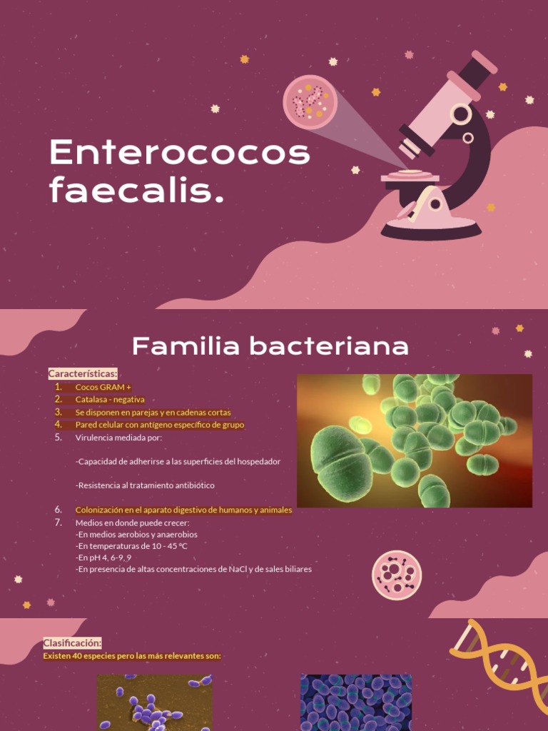 Características y Enfermedades de Enterococcus | PDF | Infección | Las bacterias