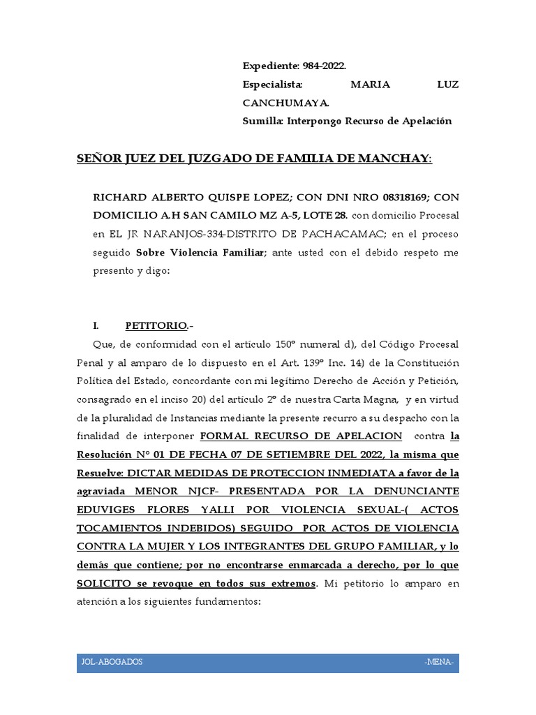 Modelo de Apelacion de Medidas de Proteccion | PDF | Apelación | Gobierno Modelo de Apelacion de Medidas de Proteccion | PDF | Apelación | Gobierno