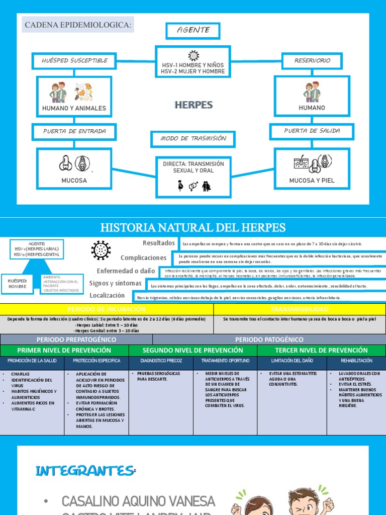 Cadena e Historia Natural Del Herpes - Epidemiologia | PDF | Herpes ...