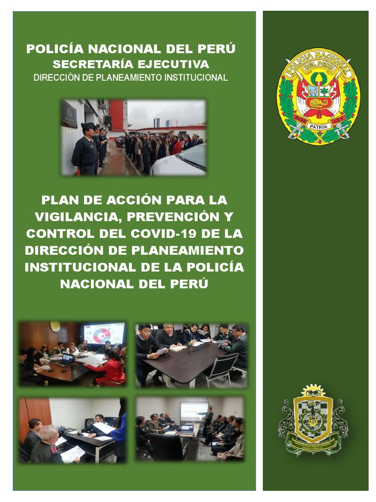 Plan de Acción para La Vigilancia, Control y Superivision Del COVID19 DIRPLAINS PNP | PDF ...