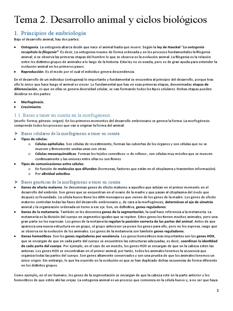 Desarrollo Animal: Embriología y Morfogénesis | PDF | Reproducción ...