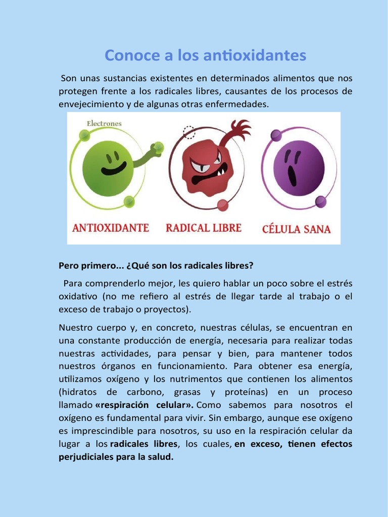 Conoce A Los Antioxidantes | PDF | Antioxidante | Radical (Química)