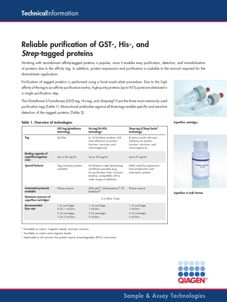 Reliable Purification of GST His and Strep Tagged Proteins EN | PDF ...