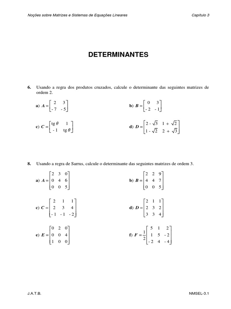 7 Determinantes Acet Pdf Determinante Matriz Matemática 7262