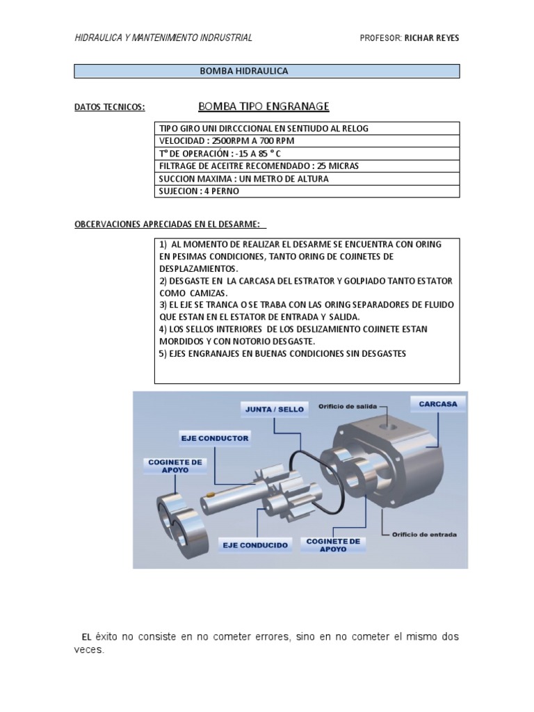Bomba Hidraulica | PDF | Engranaje | Rodamiento (Mecánico)