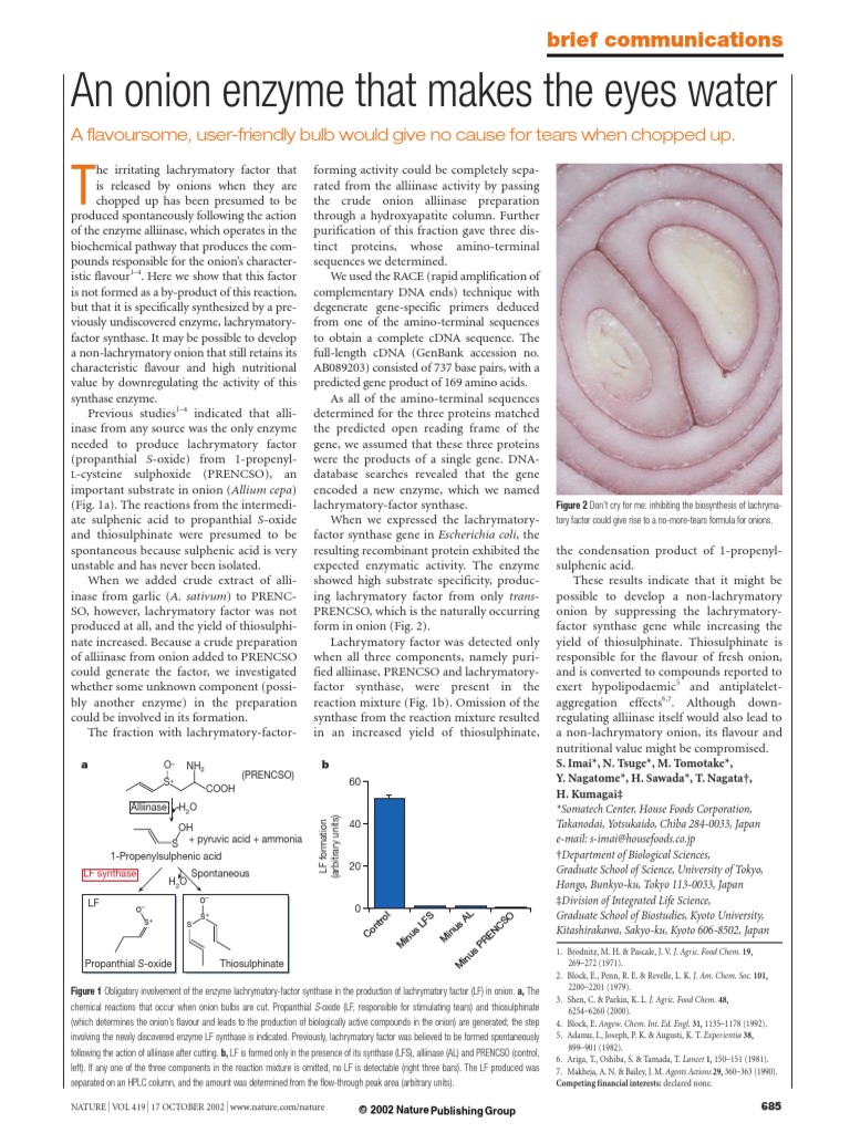 Onion Enzyme | PDF | Proteins | Complementary Dna