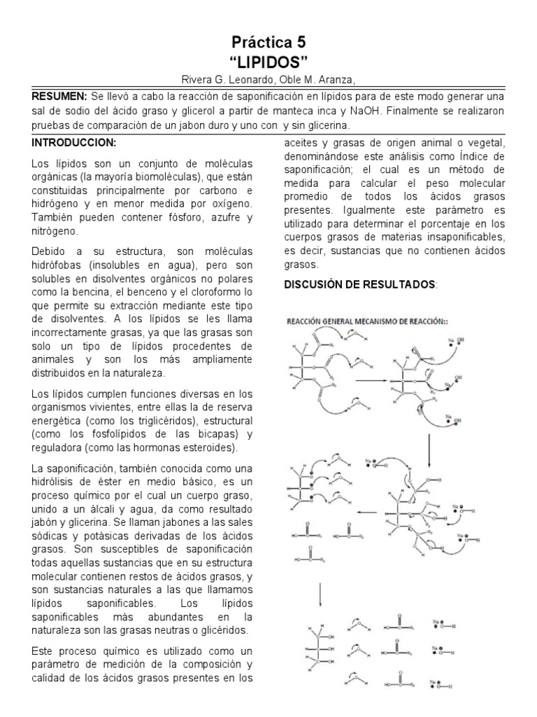 Práctica 5 Lipidos Pdf Lípido Compuestos Orgánicos