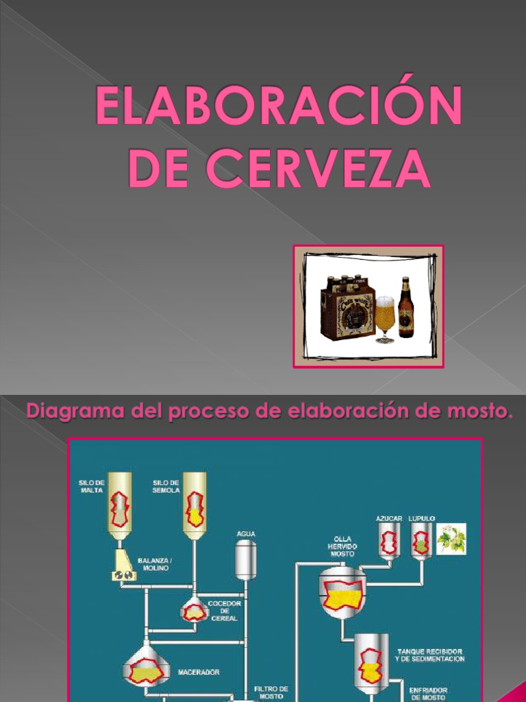 Proceso de Elaboraciã - N de La Cerveza | PDF | Cerveza | Fermentación
