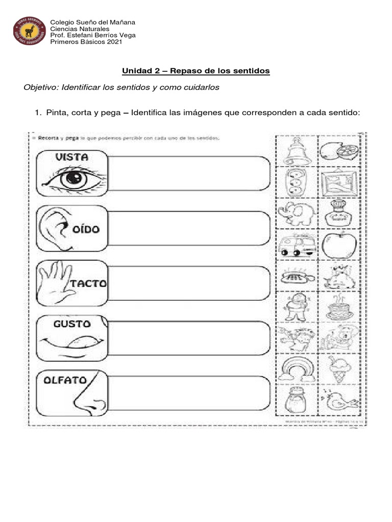 Unidad 2 Repaso de Los Sentidos - 211101 - 211429 | PDF