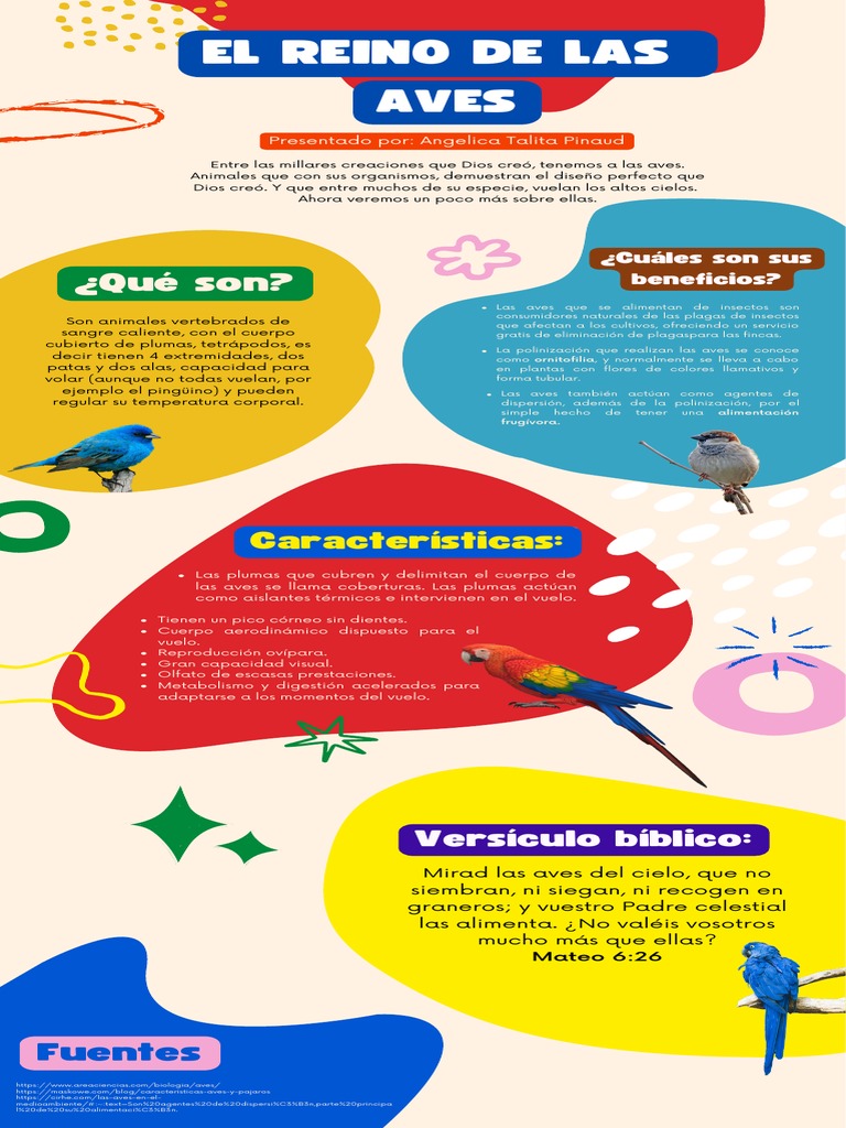 Aves Infografía | PDF | Aves | Insectos
