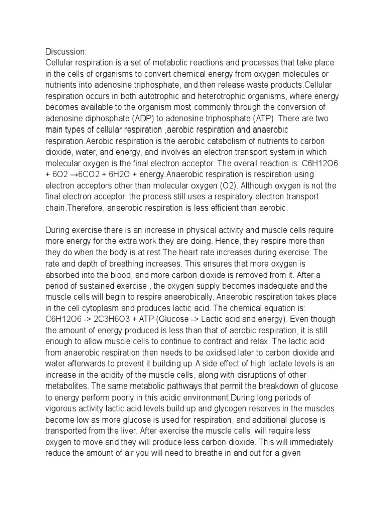 Cellular Respiration During Exercise | PDF | Cellular Respiration | Biology