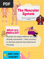 Nursing-AnaPhy-Muscular System Upper Body | PDF | Abdomen | Neck