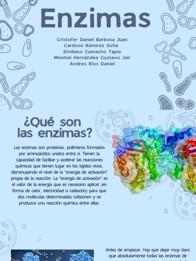¿Qué Son Las Enzimas | PDF | Digestión | Enzima