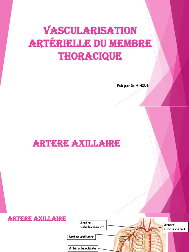 1 Vascularisation Artérielle Du Membre Thoracique. | PDF | Bras | Main