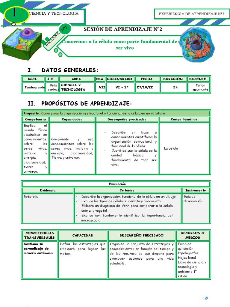 1° Sesión de Aprendizaje Sesión 2-Sem.1-Exp.7-Cyt | PDF | Biología Celular) | Aprendizaje
