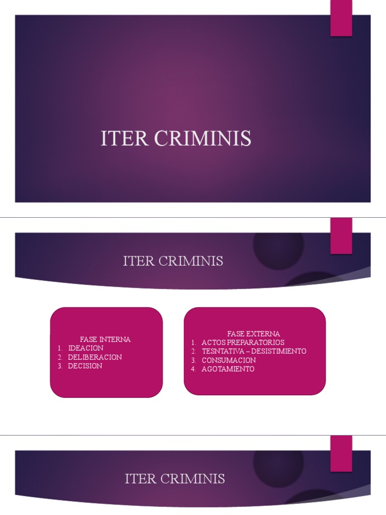 Iter Criminis | PDF