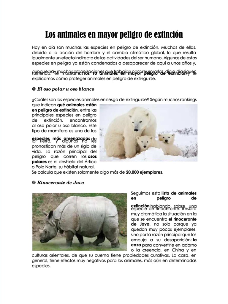 Animales en Extinción | PDF | Especie en peligro | Extinción