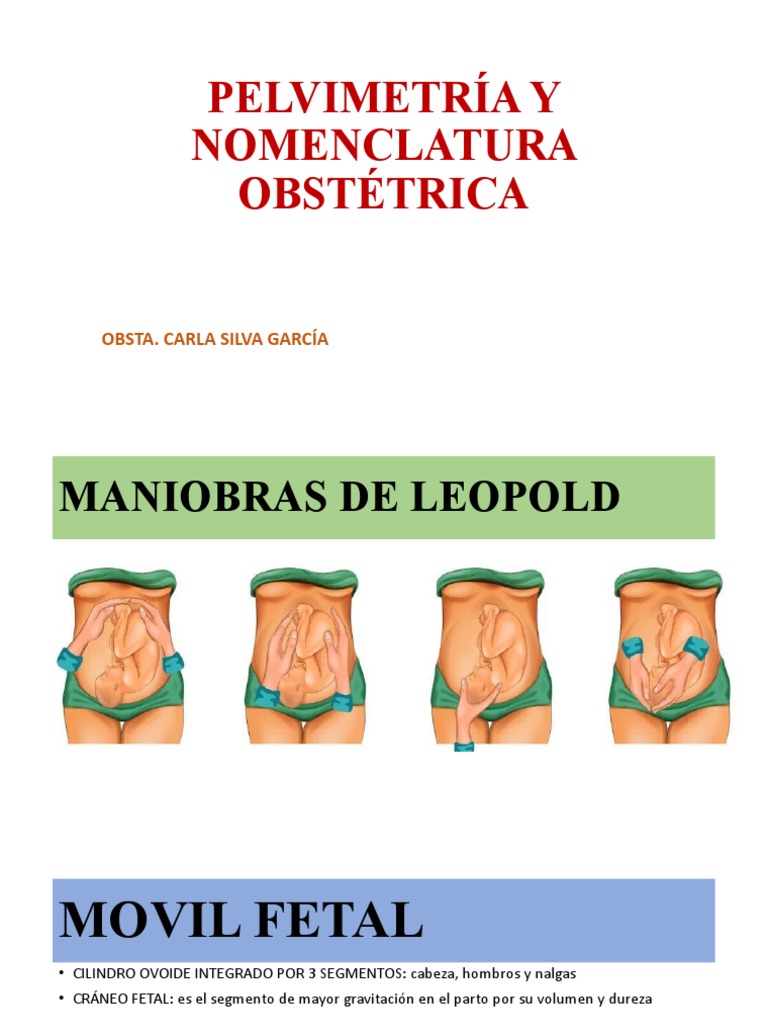 Pelvimetría U Nomenclatura Obstétrica Pdf Cráneo Cabeza Y Cuello