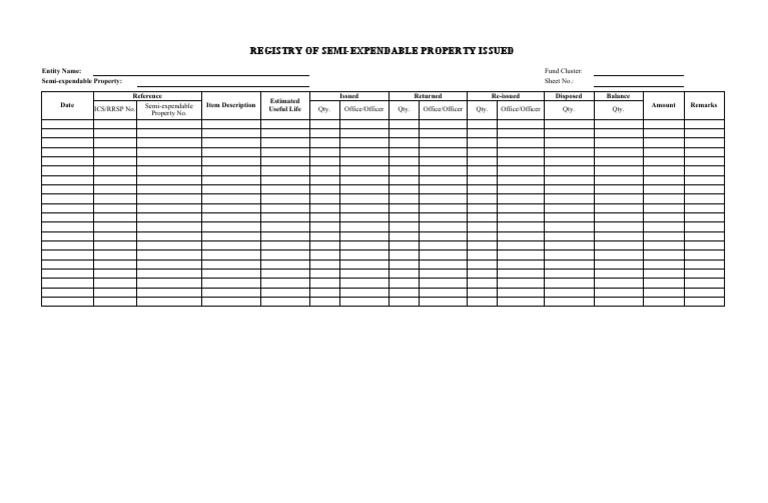 4.registry of Semi-Expendable Property Issued | PDF