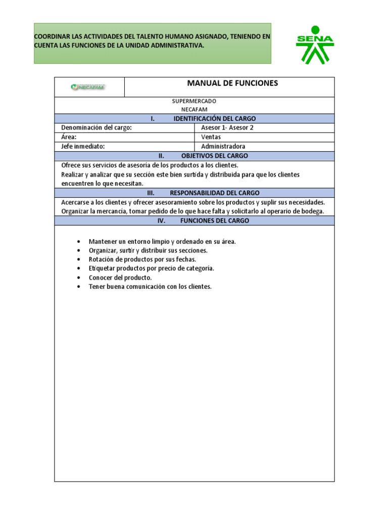 Ejemplo Manual de Funciones | PDF | Business | Economias