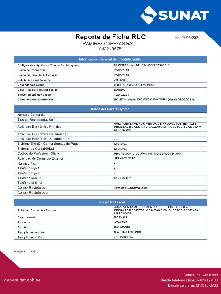 Ficha Ruc Raul Ramirez C | PDF | Teléfonos móviles | Economias
