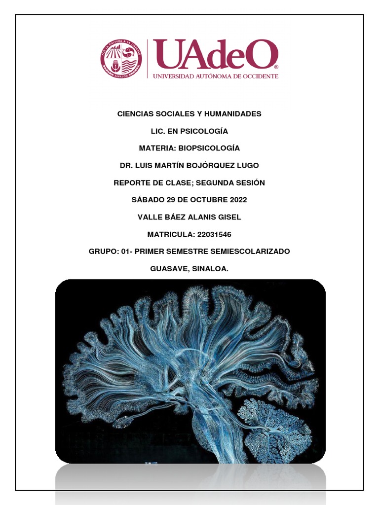 Reporte de Clase Segunda Sesión | PDF | Pensamiento | Percepción