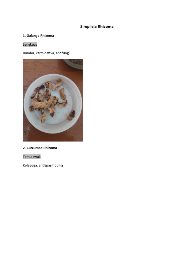 Simplisia Rhizoma & Simplisia Cortex | PDF