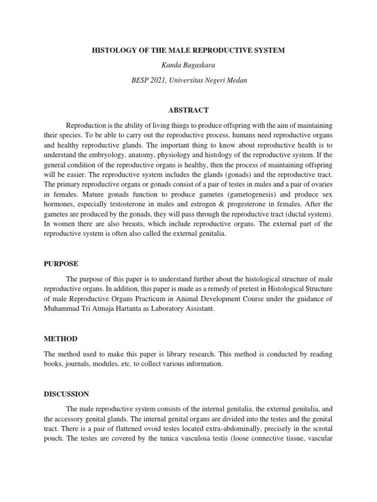 Histology Of The Male Reproductive Organs Download Free Pdf