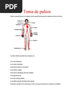 Ubicación del pulso cubital | PDF
