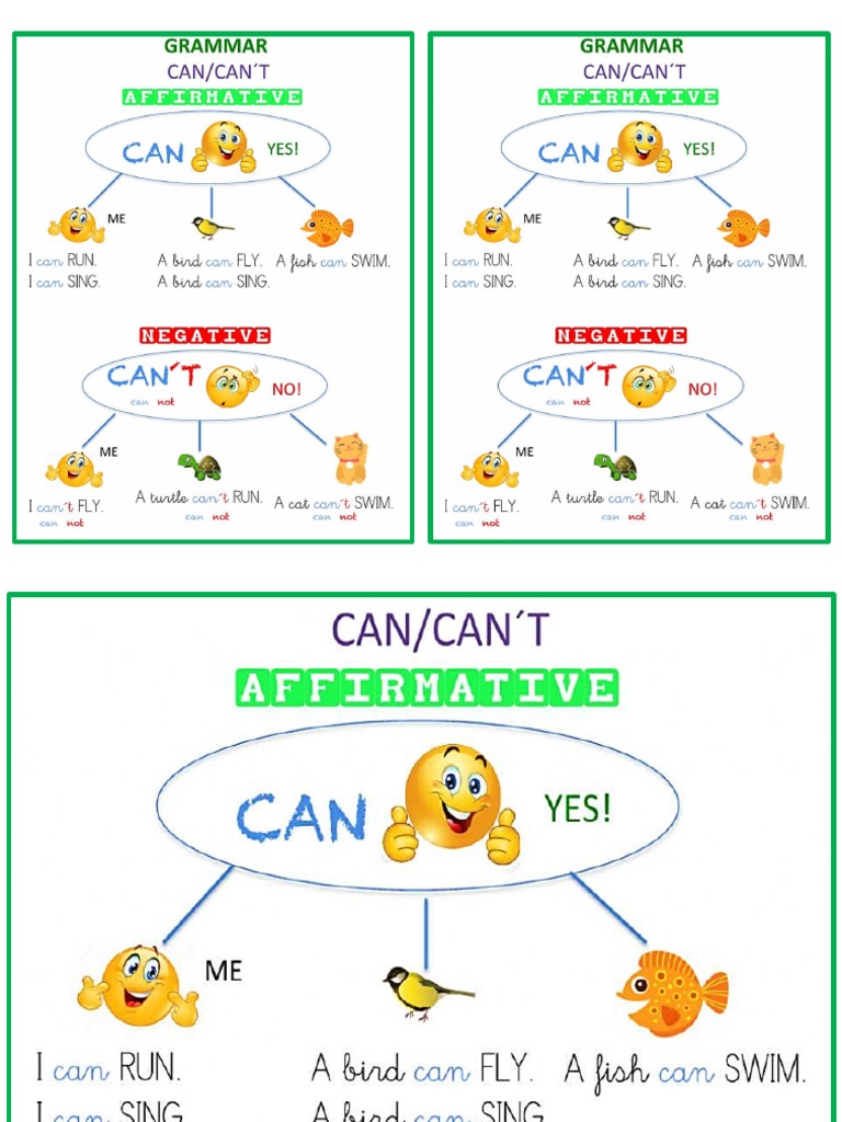 Can y Can T | PDF