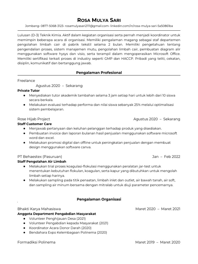 Contoh Re-Build CV ATS | PDF