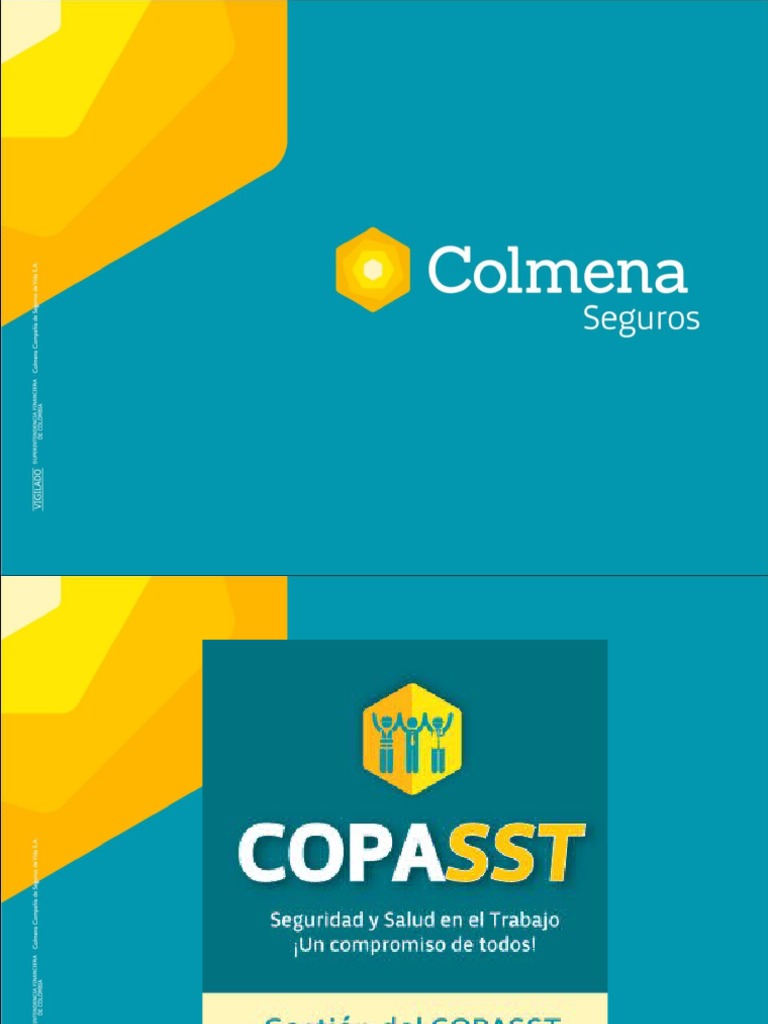 Guía de Auditoría en SST para COPASST | PDF | Auditoría | Business