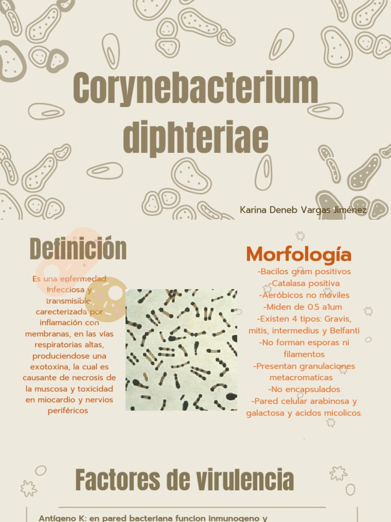 Difteria | PDF | Las bacterias | Especialidades Medicas