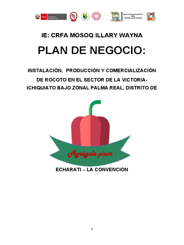 Plan de Negocio 2 | PDF