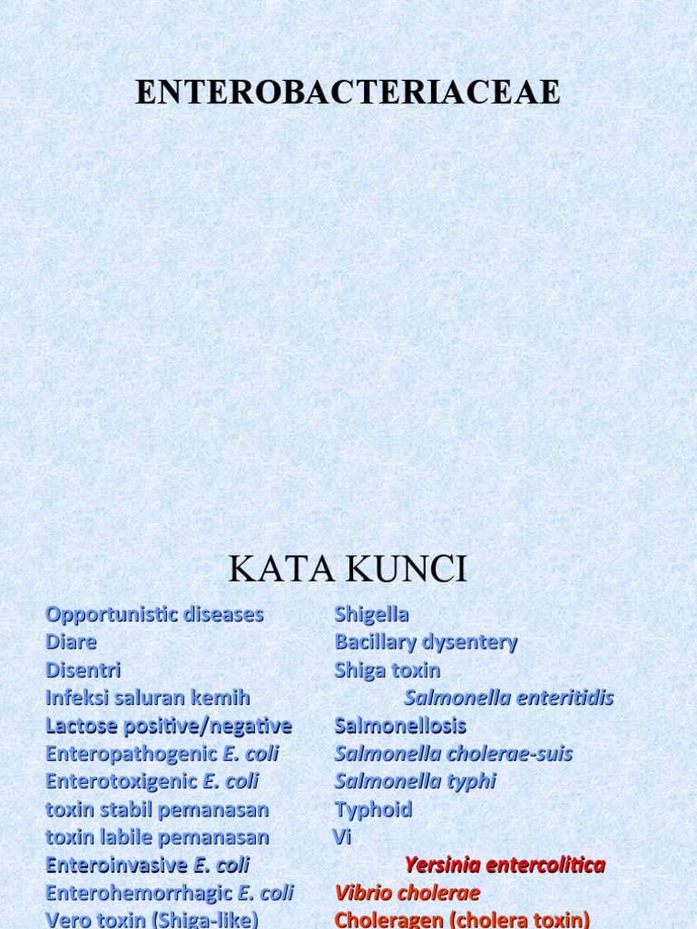 Enterobacteriaceae Rev 2013 | PDF | Escherichia Coli | Clinical Medicine