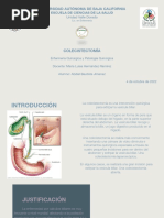 CISTOCLISIS | PDF | Vejiga urinaria | Orina