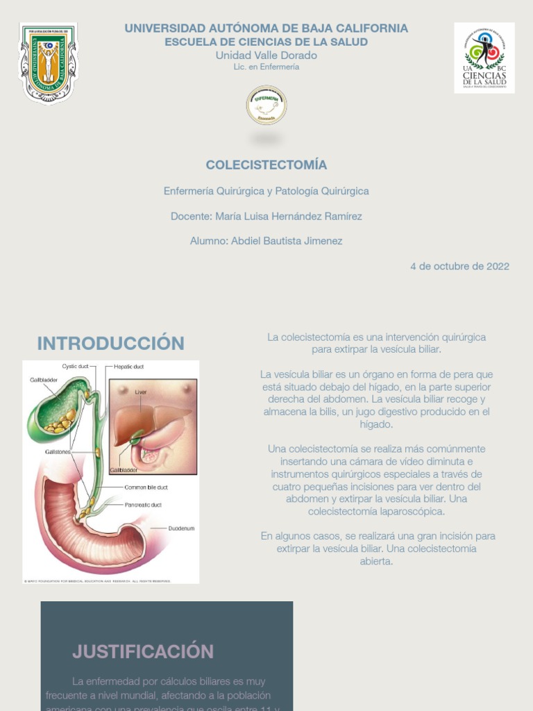 Colecistectomía | PDF | Cirugía | Enfermedades y trastornos
