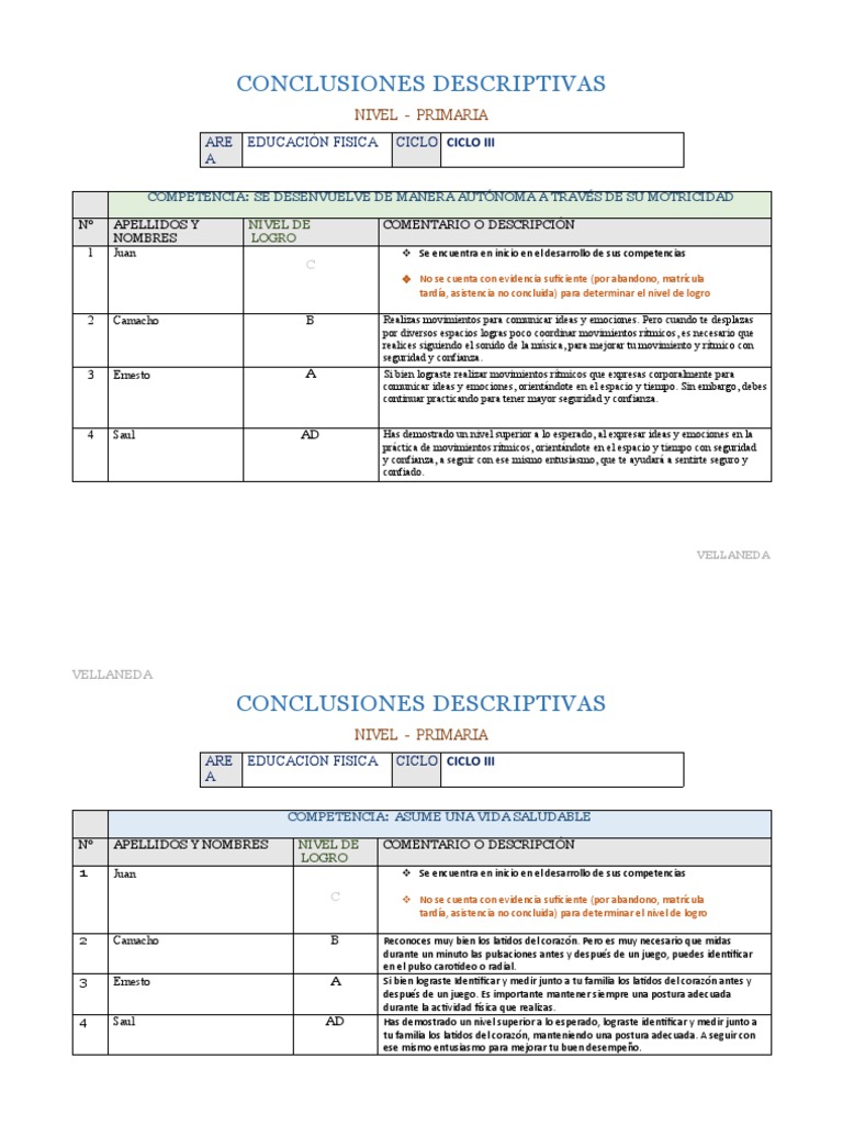 Conclusiones Descriptivas - Ciclo III | PDF