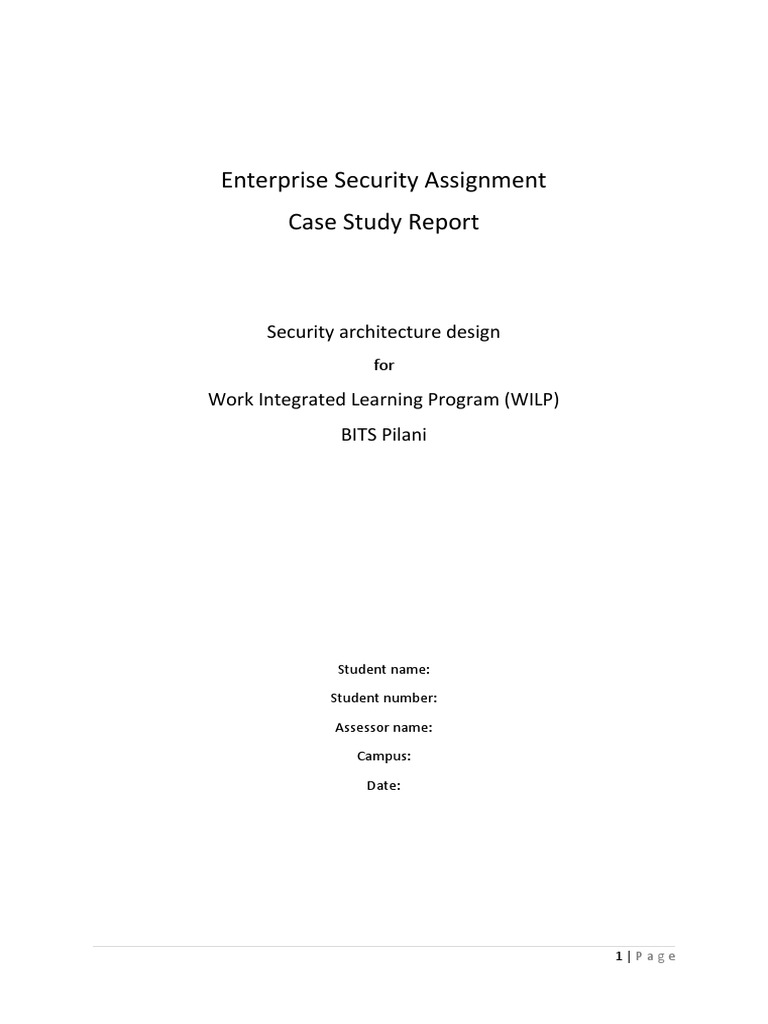 Report CIES | PDF | Security | Computer Security