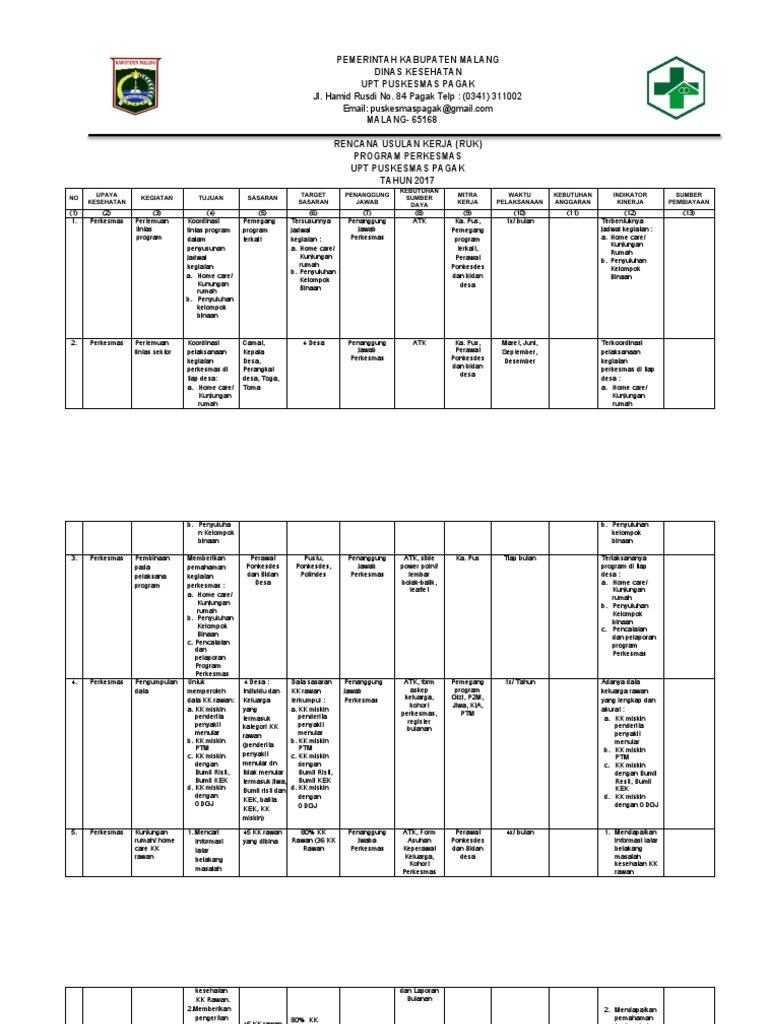 Format Ruk Perkesmas 2017 | PDF