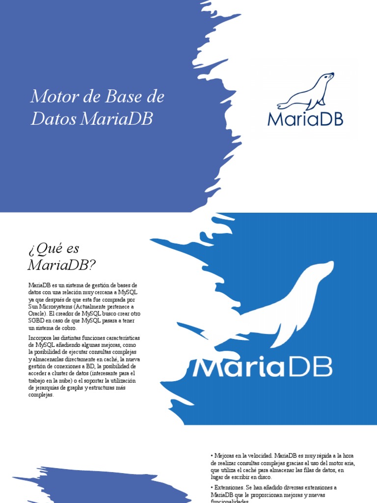 Motor de Base de Datos MariaDB | PDF | Mi sql | Edad de información