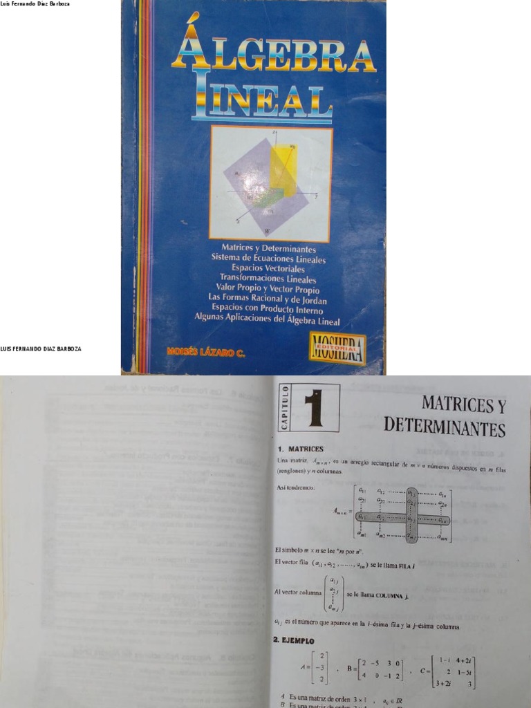Algebra Lineal Moises Lazaro PDF Compress | PDF