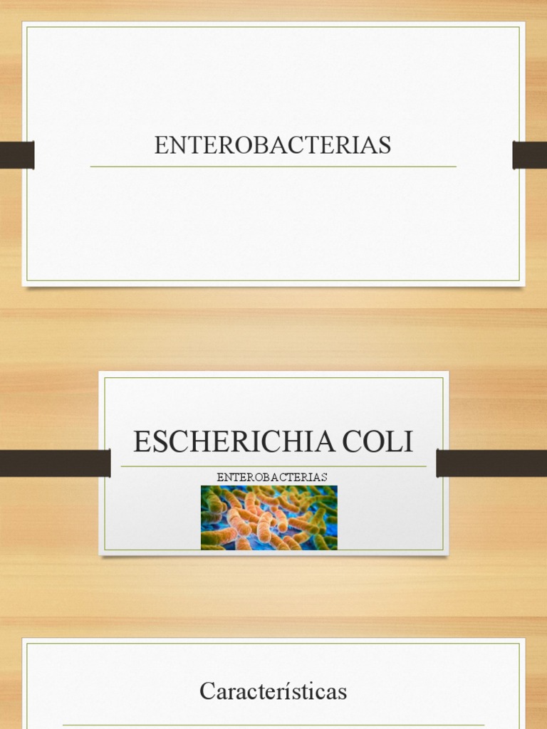 Enterobacterias | Descargar gratis PDF | Escherichia coli | Salmonela