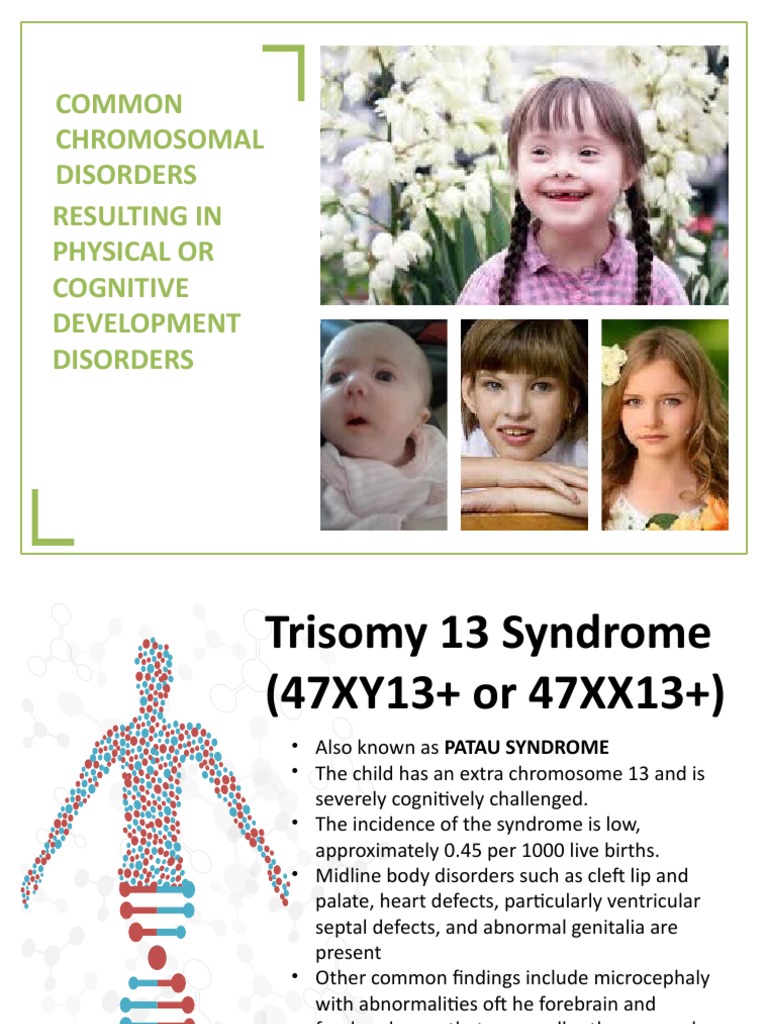 Common Chromosomal Disorders Guide | PDF | Down Syndrome | Medical ...