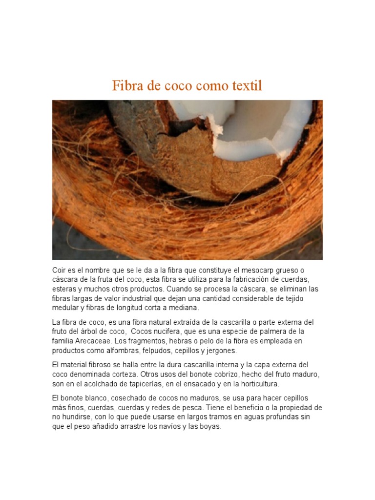 Fibra de Coco Como Textil | PDF | Coco | Ropa