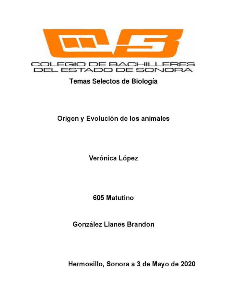 Origen y Evolución de los Animales | PDF | Evolución | Vertebrados
