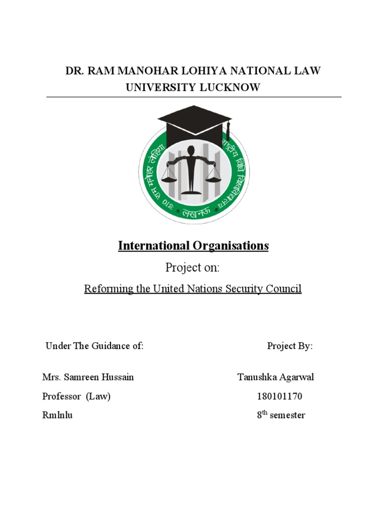 International Organisation Project | PDF | United Nations Security ...